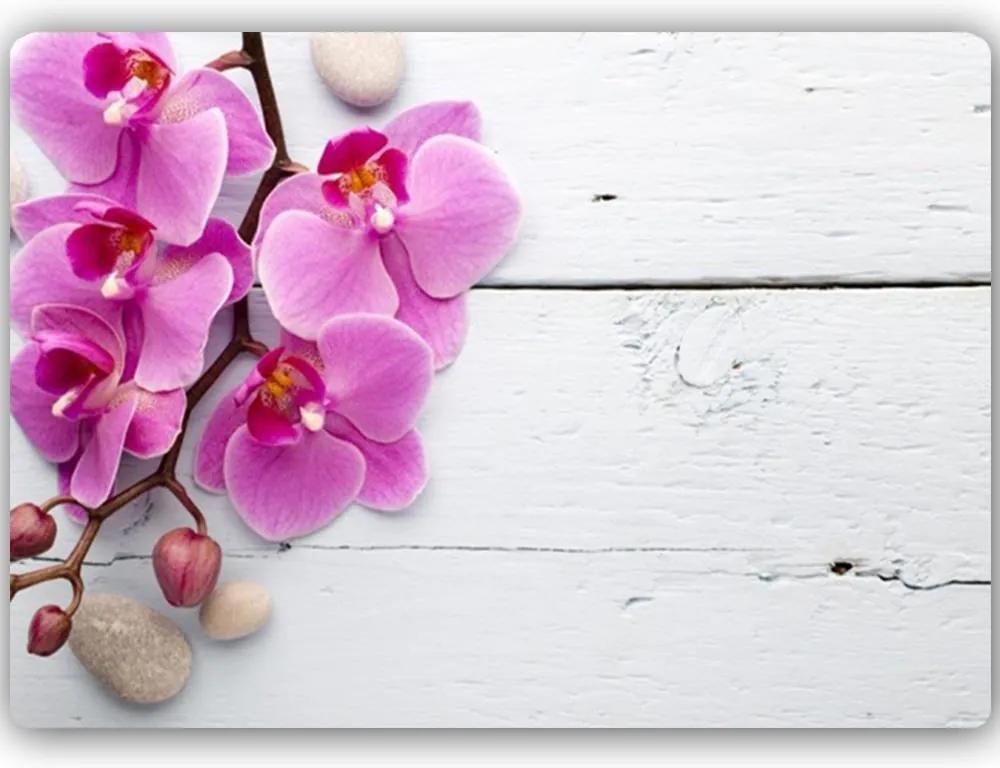 CARO Kovový obraz - Pink Orchid And Buds 60x40 cm