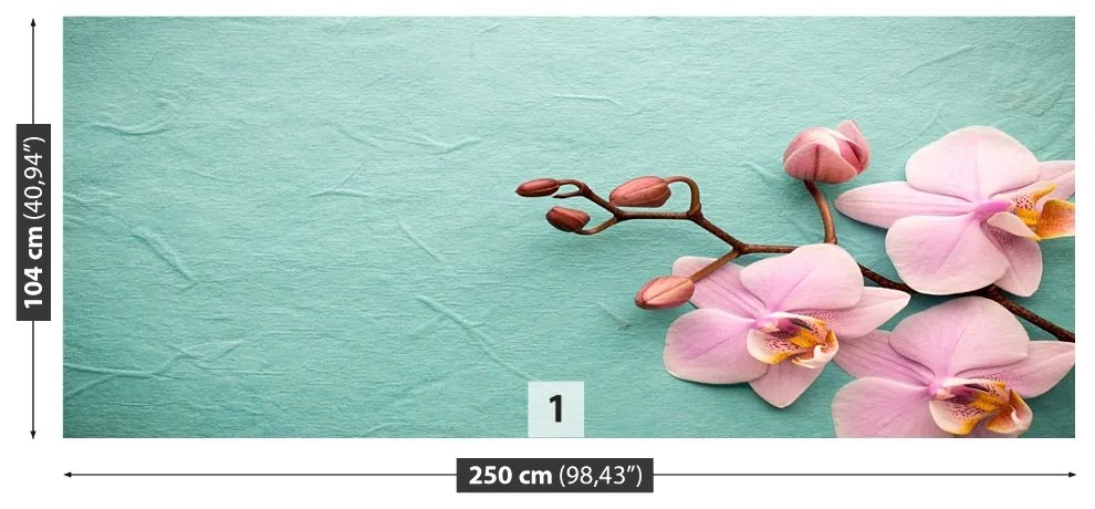 Fototapeta Orchid Pink 104x70