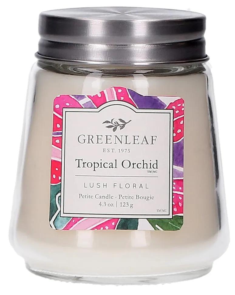 Greenleaf Votivní svíčka ve skle malá Tropical Orchid-123g