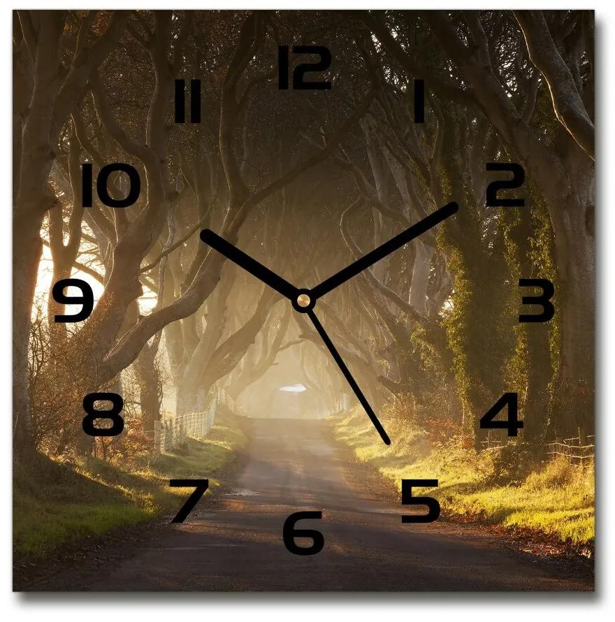 Wallmuralia Skleněné hodiny čtverec Mlha v lese 30x30 cm