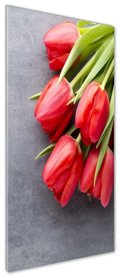 Wallmuralia Fotoobraz na skle Červené tulipány 50x125 cm