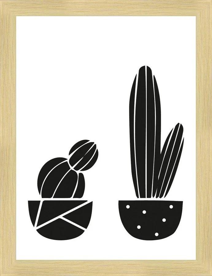 Rámovaný obraz - Kaktusy (černobílé)