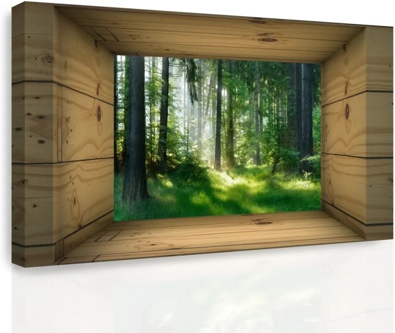 Malvis Malvis Obraz - Okno do lesa  150x100 cm