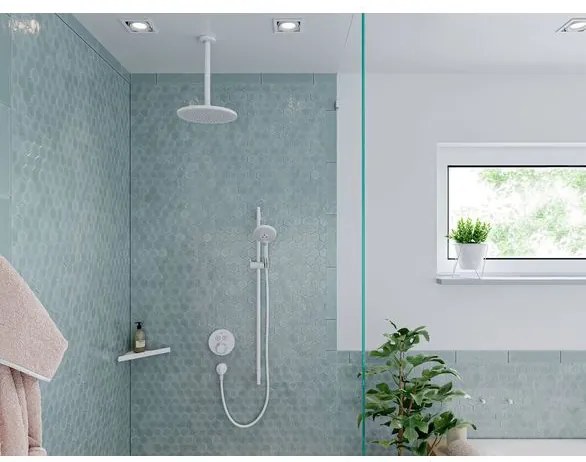 Hansgrohe Raindance Select S Ruční sprcha 12,5 cm, s EcoSmart, bílá matná 26531700