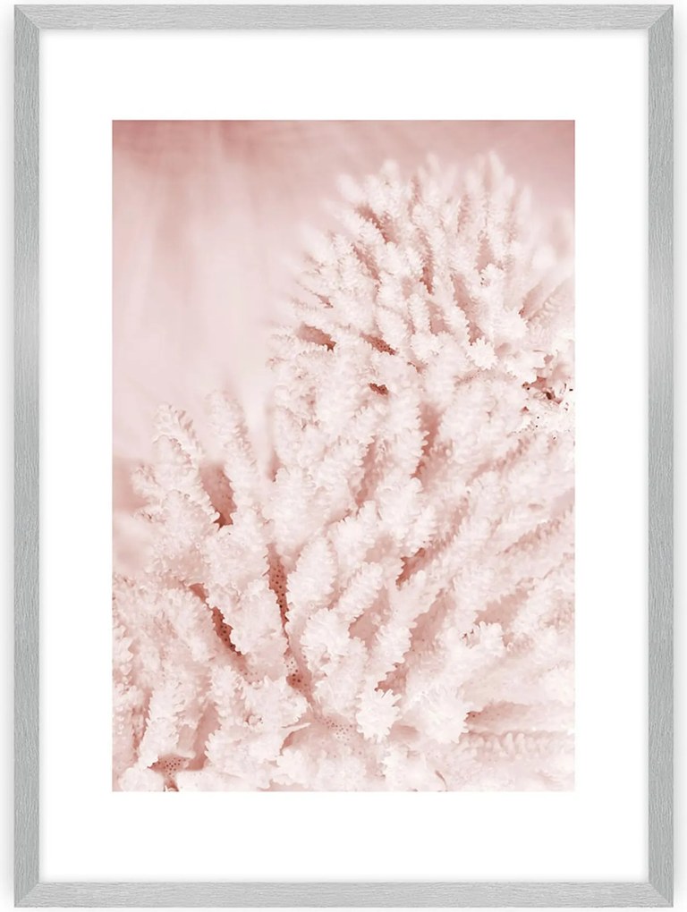 Plakát Pastel Pink II