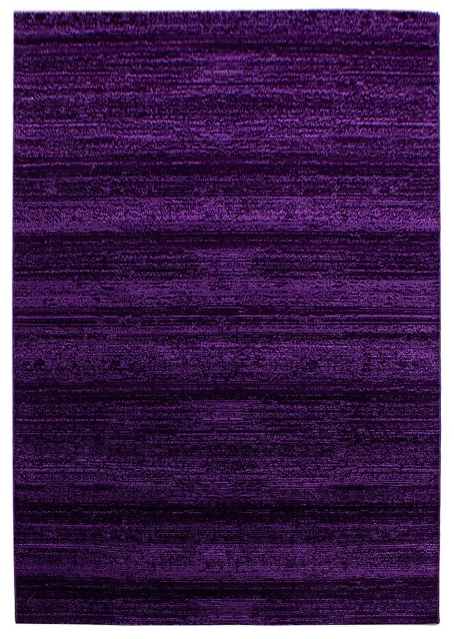 Tmavě fialový koberec 80x150 cm Plus – Ayyildiz Carpets