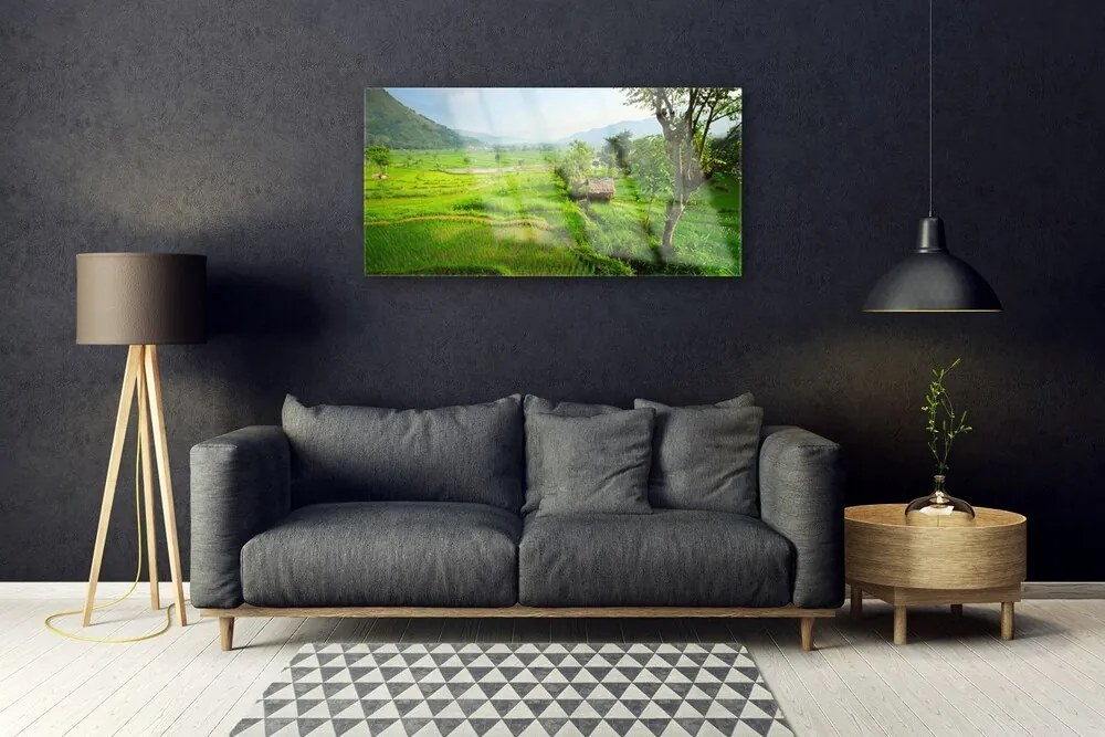 Obraz na skle Louka Příroda 100x50 cm