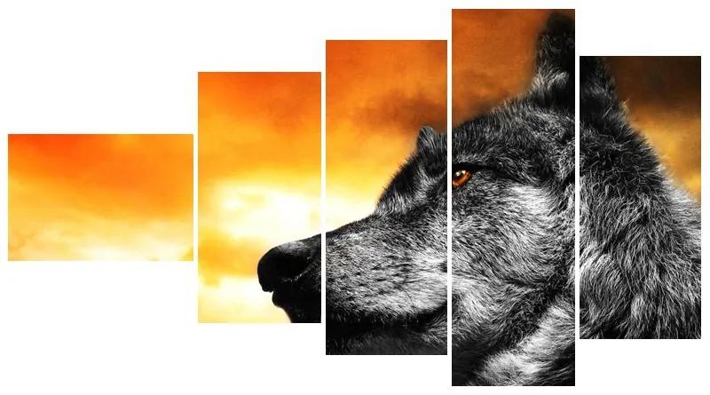 Obraz vlka (110x60 cm), 40 dalších rozměrů