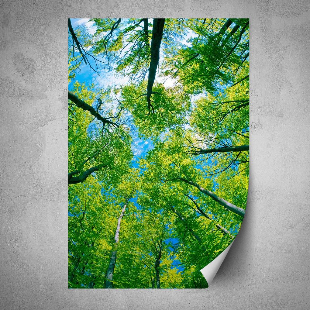 Plakát - Zelené koruny stromů (80x120 cm) - PopyDesign