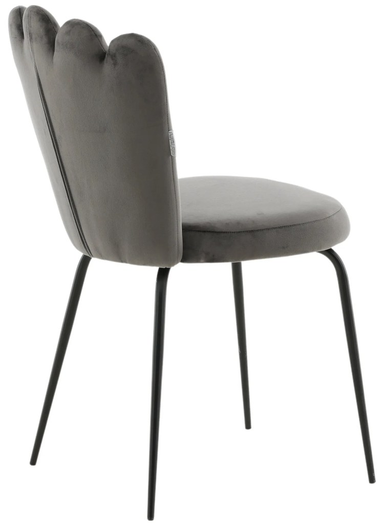 Jídelní židle Limhamn, 2ks, šedá, S44,5xD54xV82,5