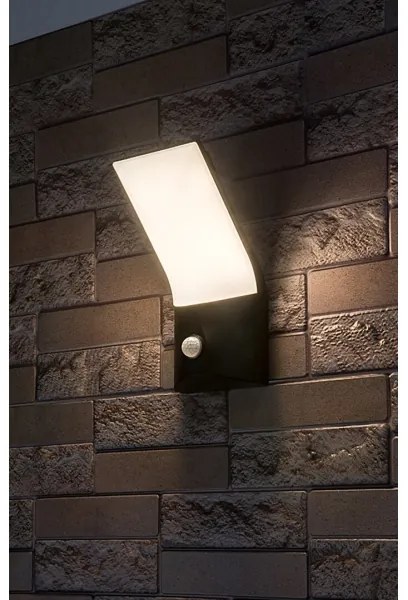 Rabalux 77172-LED Venkovní nástěnné svítidlo se senzorem TOLNA LED/10W/230V IP54