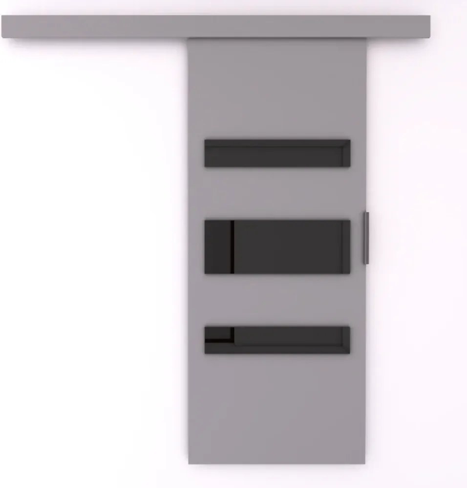 Posuvné nástěnné dveře DESIO 96
