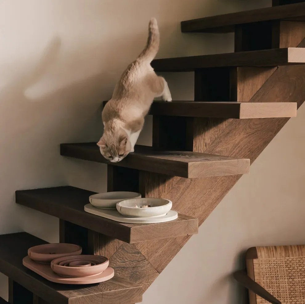 PINO PETS Miska pro kočky PINO | jednobarevné provedení Solid | Whisker Friendly | různé barvy Barva: Salmon Terra (celobarevná)