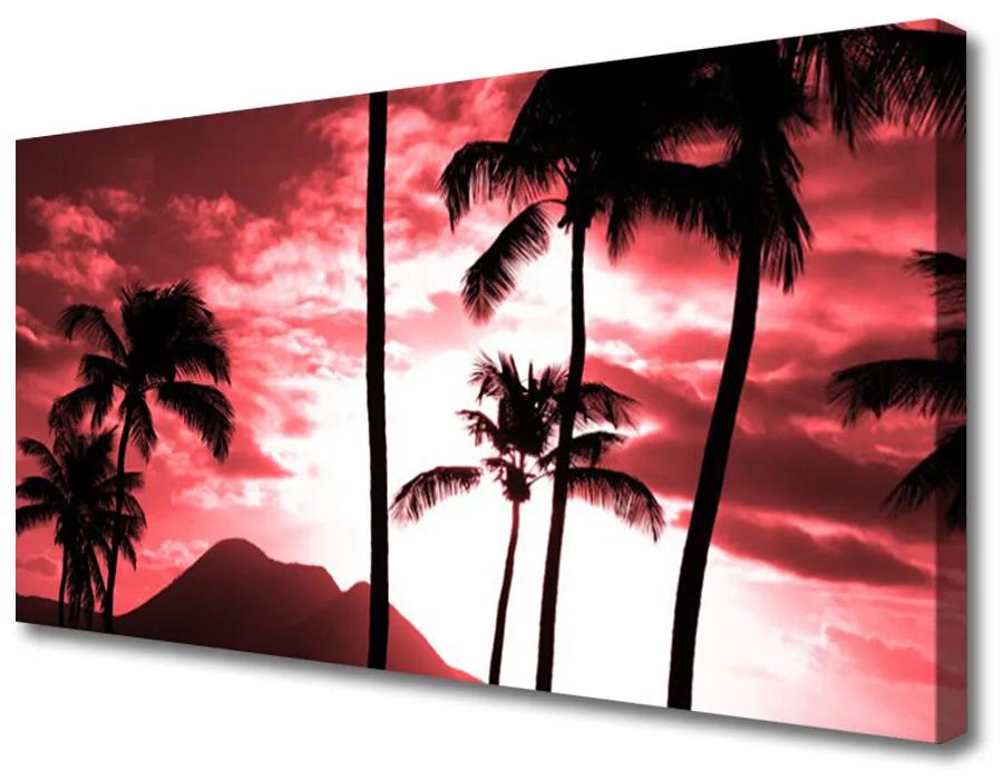 Obraz na plátně Hora Palmy Stromy Příroda 140x70 cm