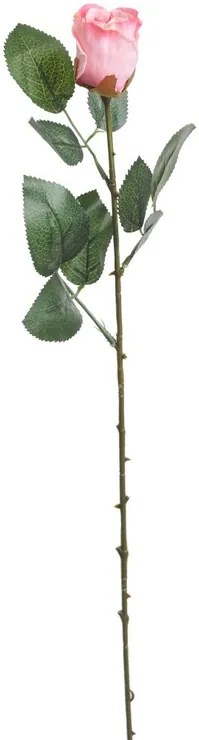 Růže růžová 54cm, květ 3-5cm