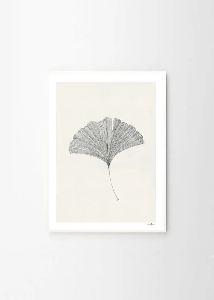 Plakát 50x70 cm Ginkgo Leaf – Ana Frois – The Poster Club