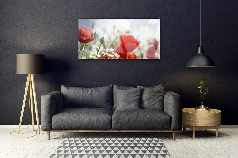 Obraz na skle Květiny Plátky Rostlina 140x70 cm