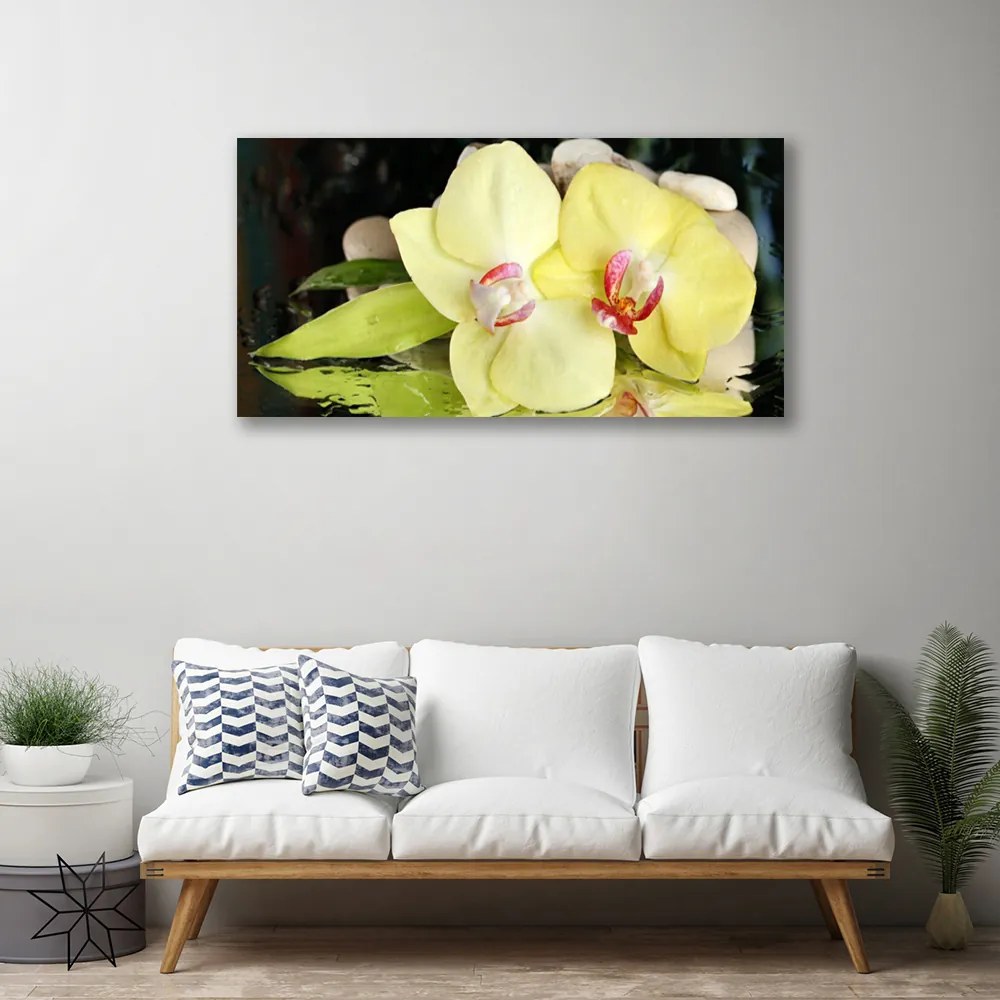Obraz na plátně Okvětní Plátky Orchidej 125x50 cm