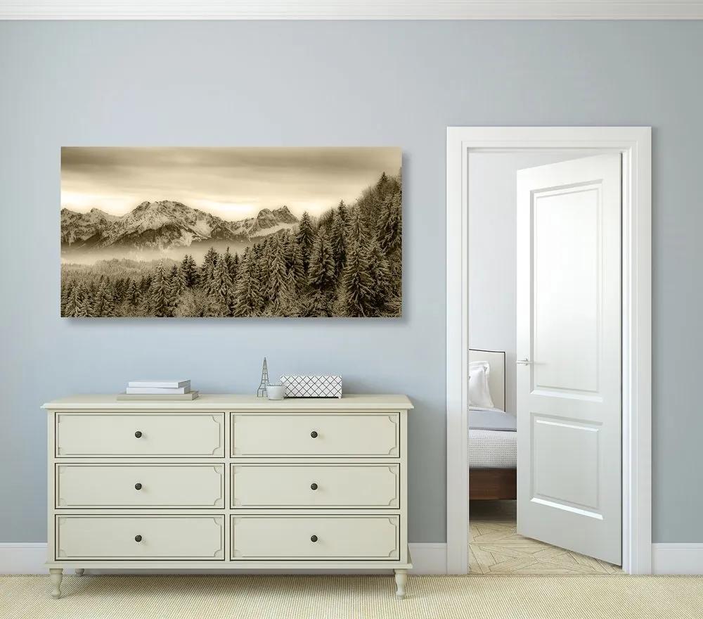 Obraz zamrzlé hory v sépiovém provedení - 120x60 cm