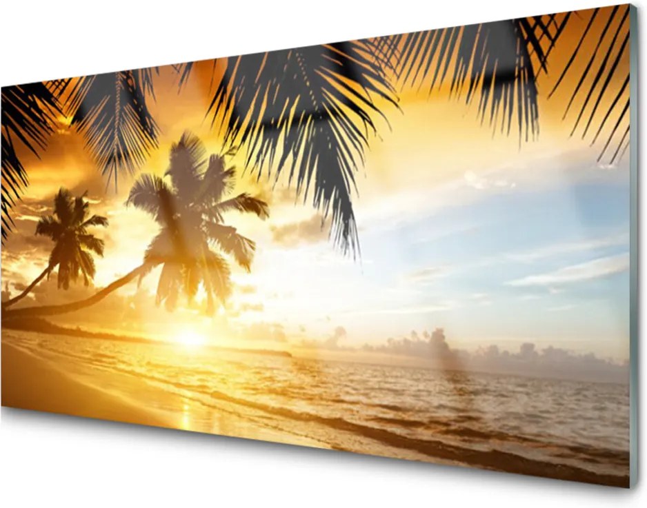 Plexisklo obraz Pláž Palma Moře Krajina