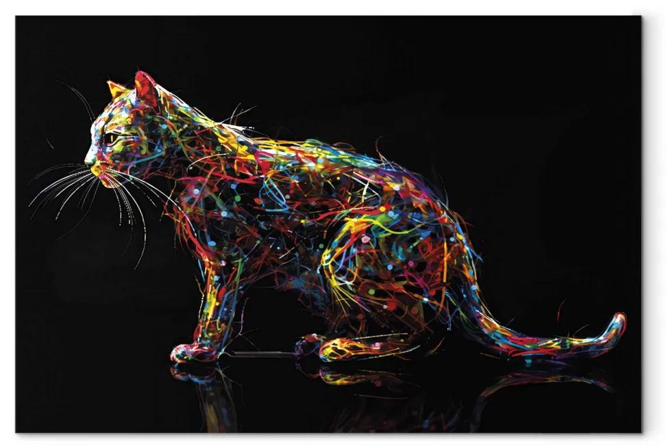 Obraz Colorful Animal - Composition With a Cat Waiting for a Mouse on a Black Background