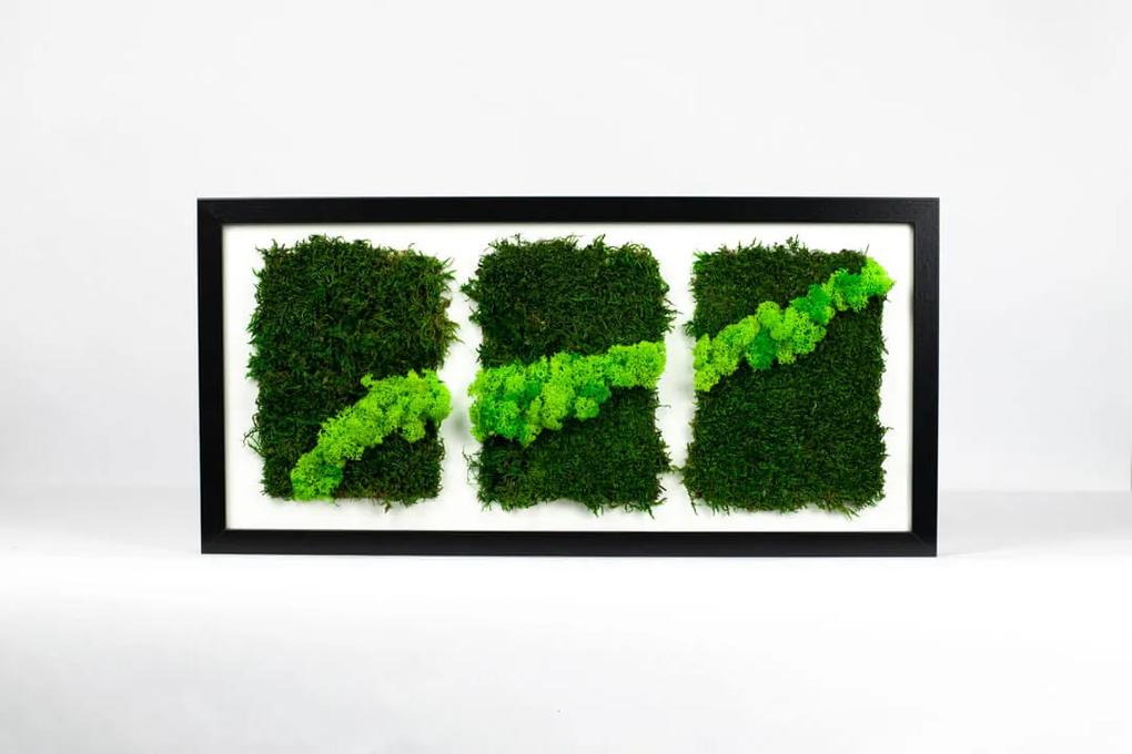 Mechový trojobraz | 49x22 cm | zelená vlna - černý rám
