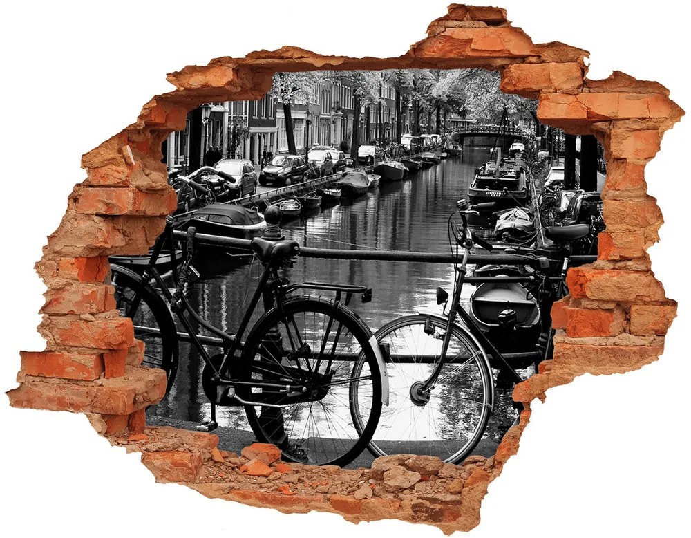 Wallmuralia Nálepka fototapeta 3D výhled Kola v Amsterdamu 90x70 cm