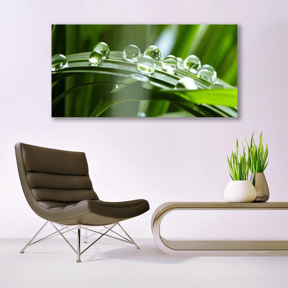 akrylový obraz Tráva Rosa Kapky Rostlina 120x60 cm