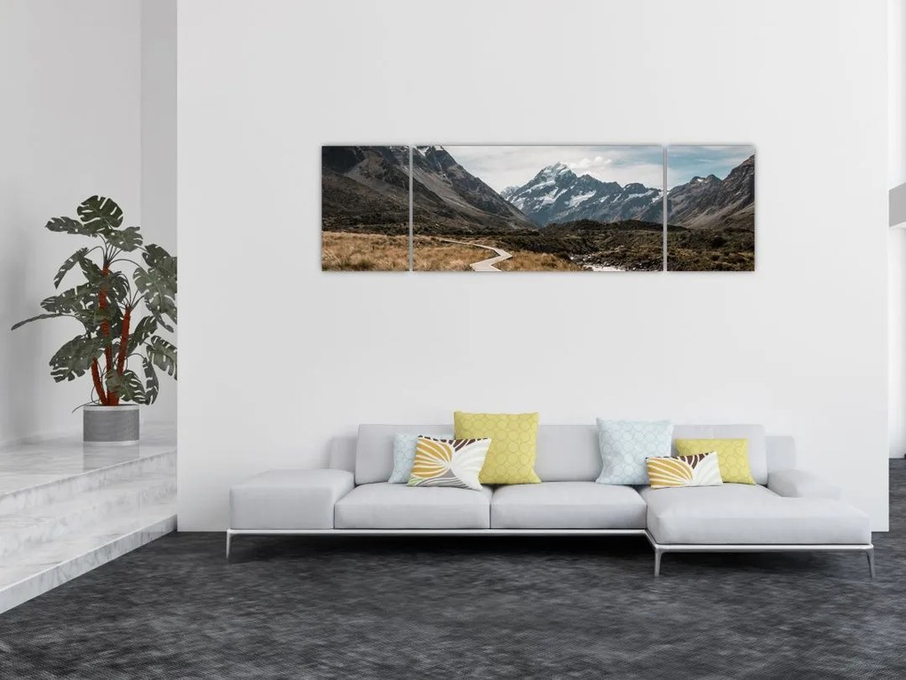 Obraz - Chodník v údolí hory Mt. Cook (170x50 cm)