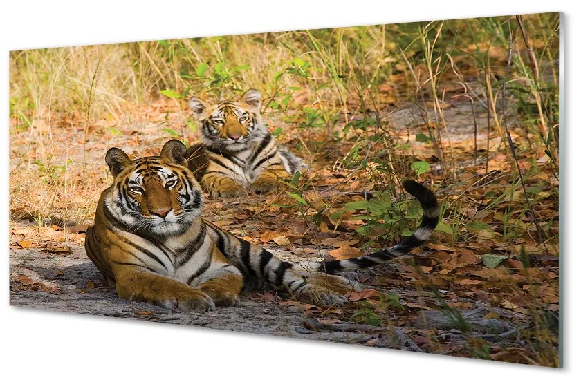 akrylový obraz Tigers 140x70cm