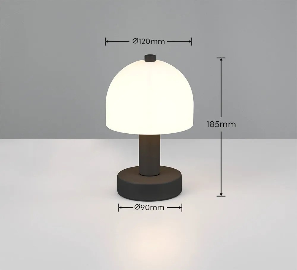 Černo-bílá stolní lampa se skleněným stínidlem (výška 19 cm) Glenn – Reality