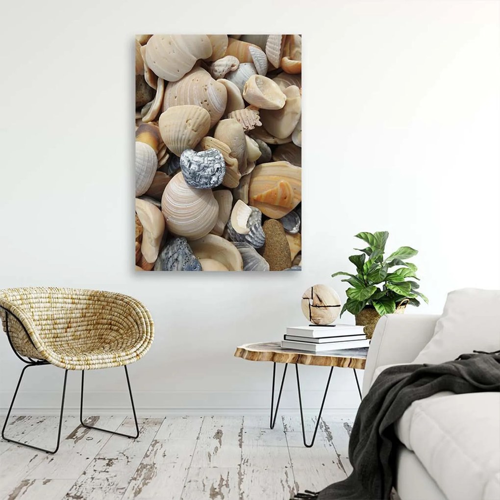 Gario Obraz na plátně Mušle a kameny na pláži Rozměry: 40 x 60 cm