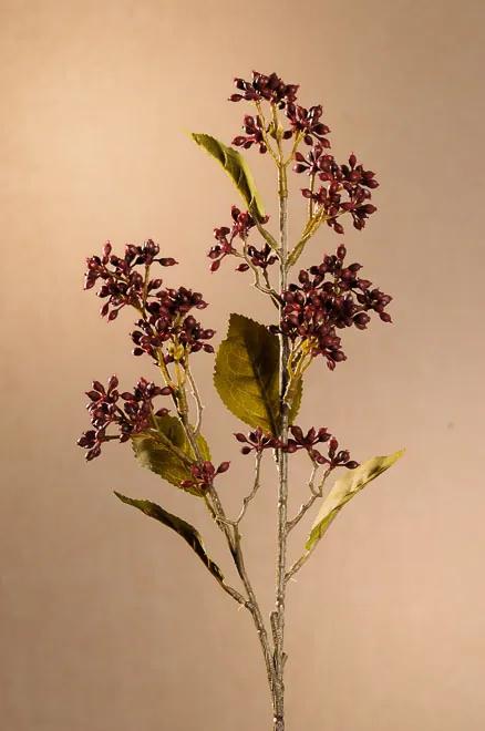 Paramit DRY VIBURNUM TINUS Aranžovací květina červená 58 cm
