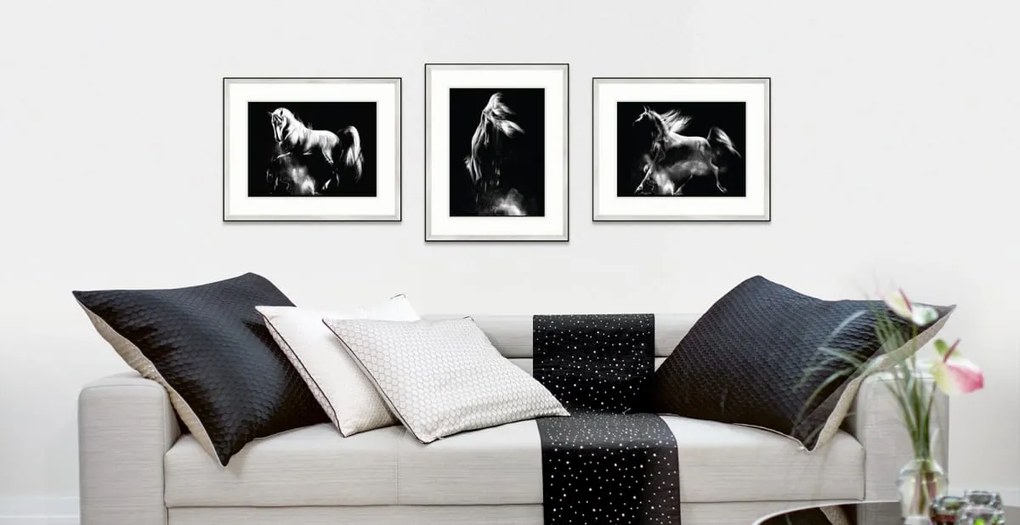 Elegantní triptych s lipicány do obývacího pokoje a pracovny - Série Lipicáni | Anna Borkowska