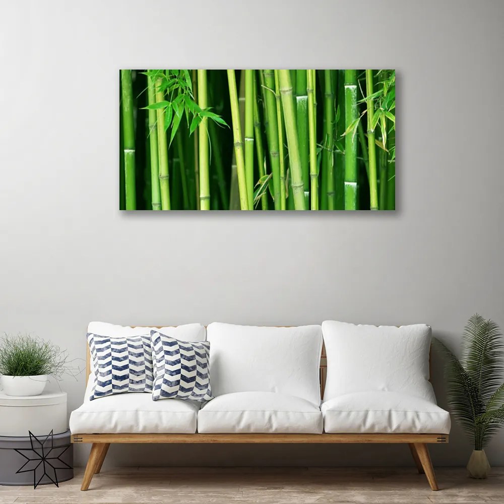 Obraz na plátně Bambusový Les Bambus Příroda 125x50 cm