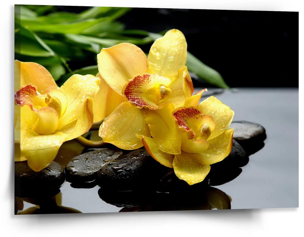 Obraz SABLIO - Žluté orchideje 150x110 cm