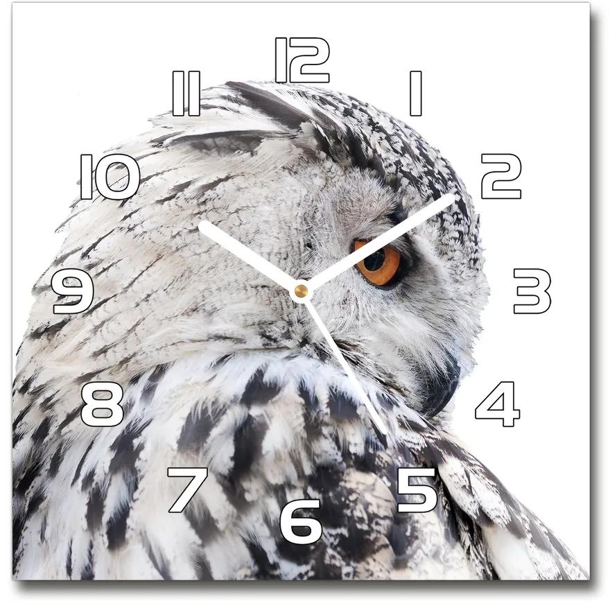 Wallmuralia Skleněné hodiny čtverec Bílá sova 30x30 cm