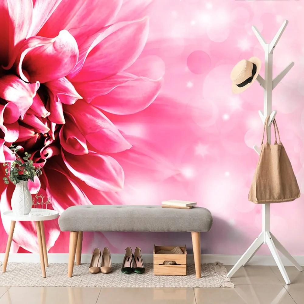Samolepící tapeta růžový květ - 300x200 cm
