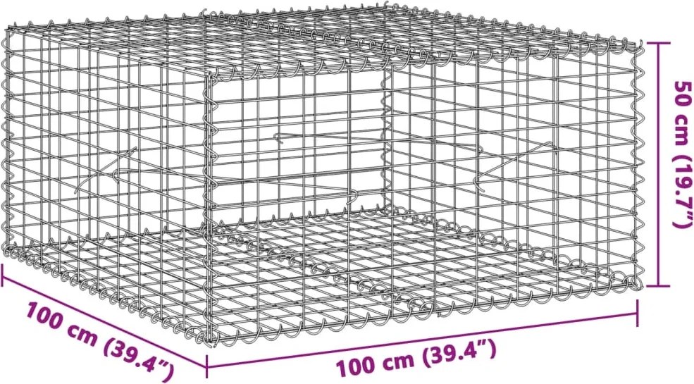 Gabionový koš s víkem 100 x 100 x 50 cm pozinkované železo 3295178