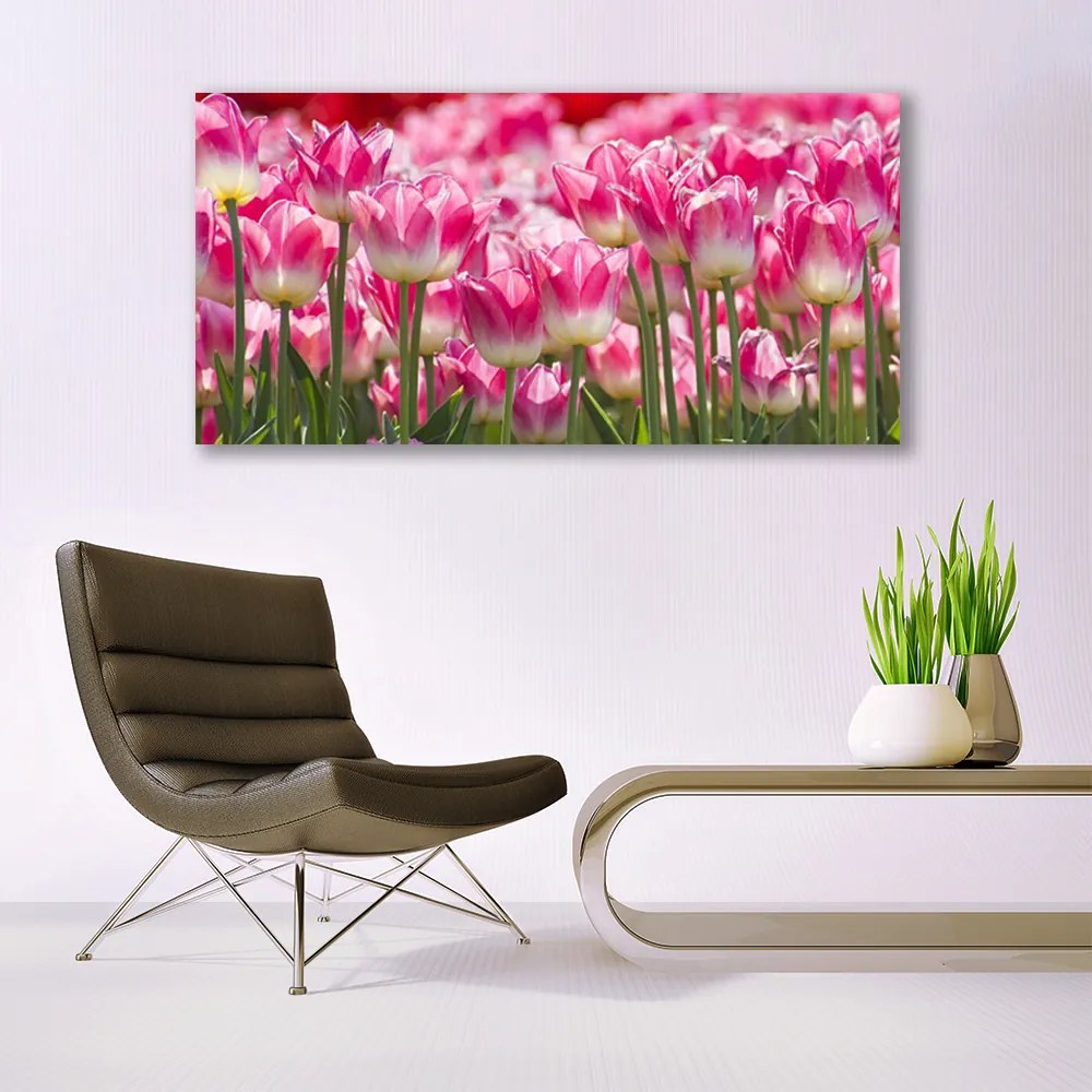 Plexisklo-obraz Tulipány Květiny Příroda 120x60 cm