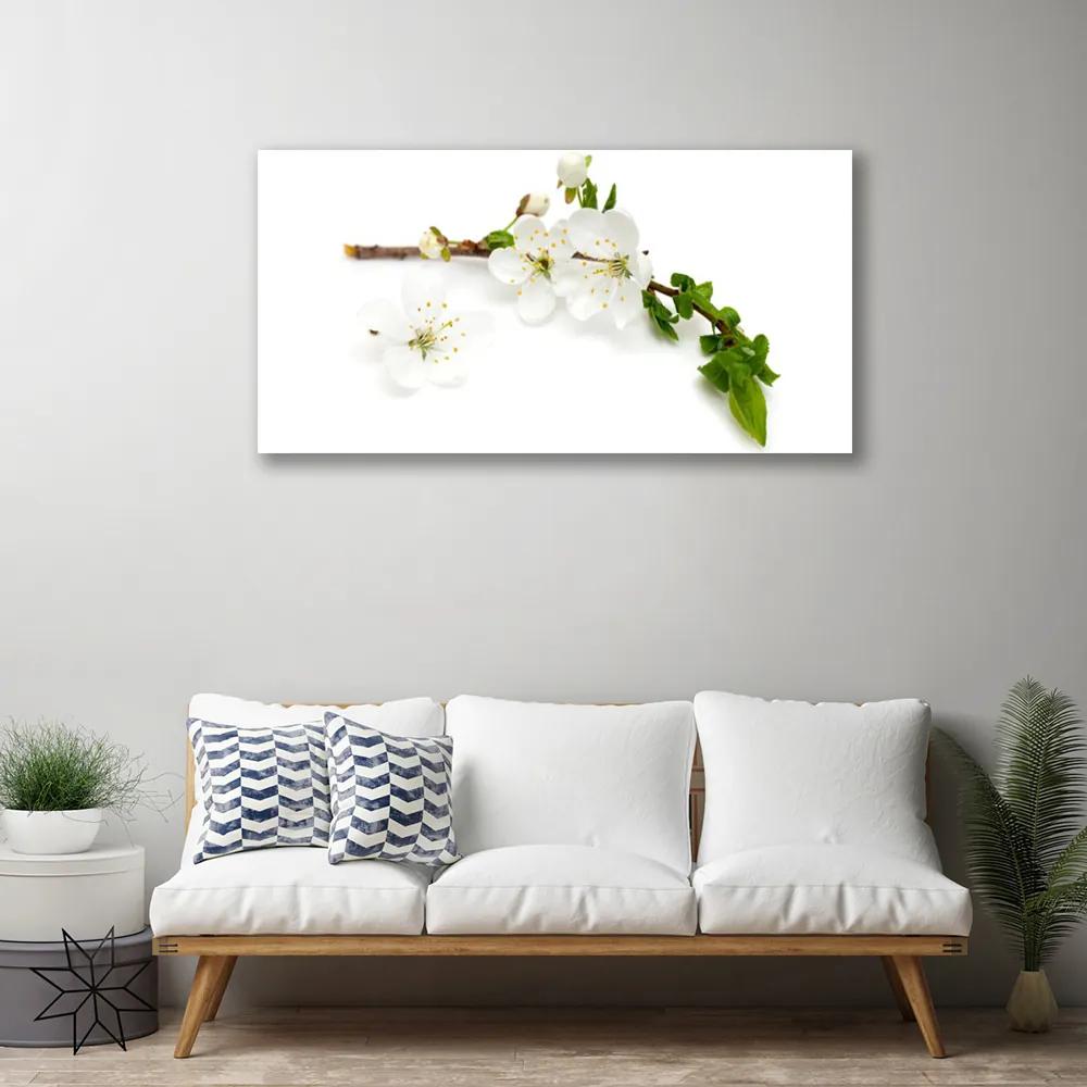 Obraz na plátně Květ Větev Příroda 120x60 cm