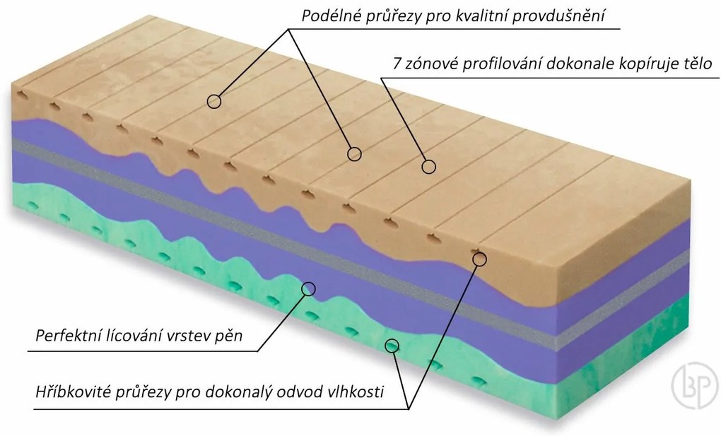 Tvrdší ortopedická matrace BIOGREEN XXL, 25cm, 80x200cm, 170kg, studená pěna, 7 let záruka
