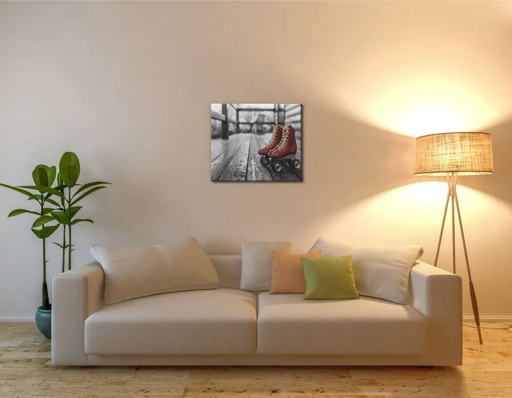 GLIX Retro brusle - obraz na plátně 60 x 40 cm