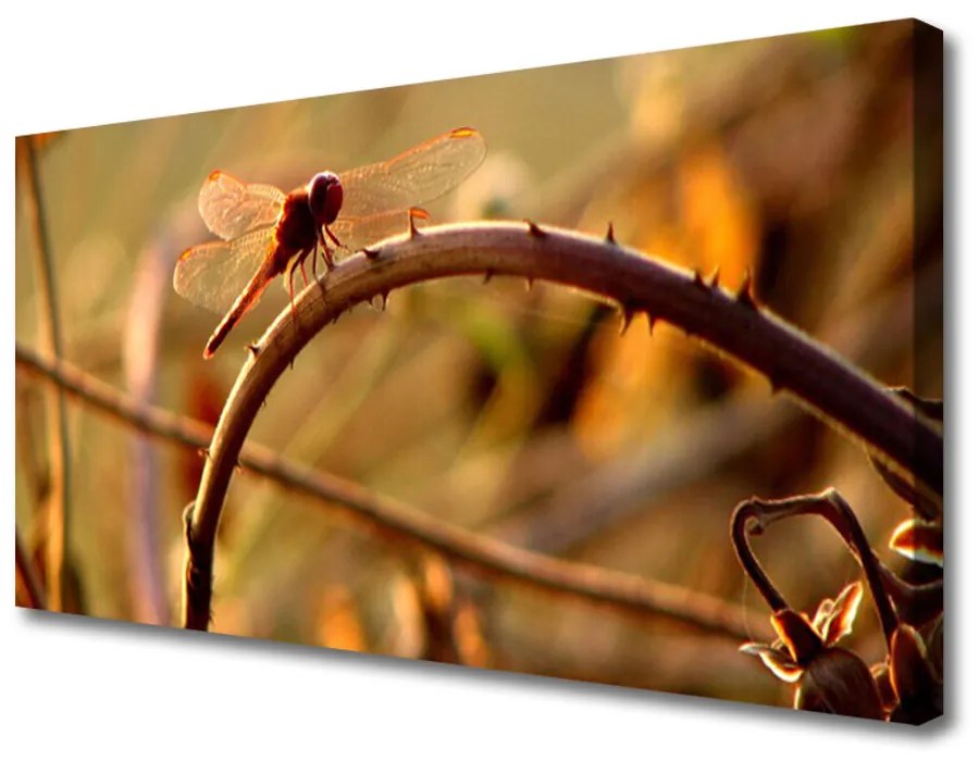Obraz na plátně Vážka Příroda Rostlina 125x50 cm