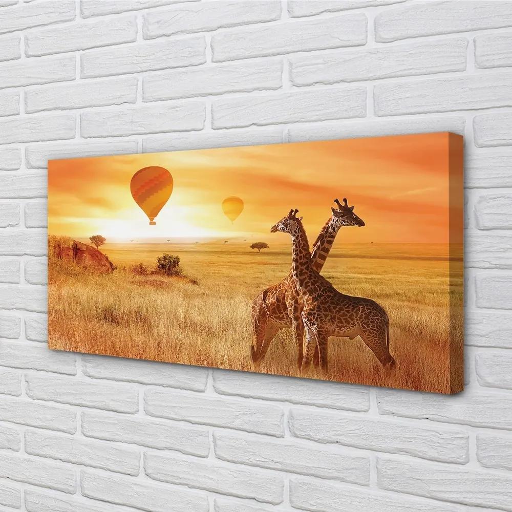 Obrazy na plátně Balóny nebe žirafa 120x60 cm