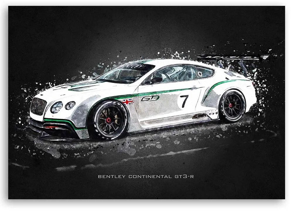 Gario Obraz na plátně Bentley continental gt3r - Gab Fernando Rozměry: 60 x 40 cm