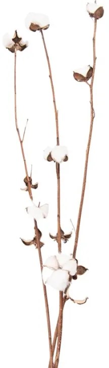 Bílo hnědá dekorační květina bavlník – 80 cm