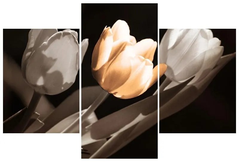 Obraz tří tulipánů (90x60 cm), 40 dalších rozměrů