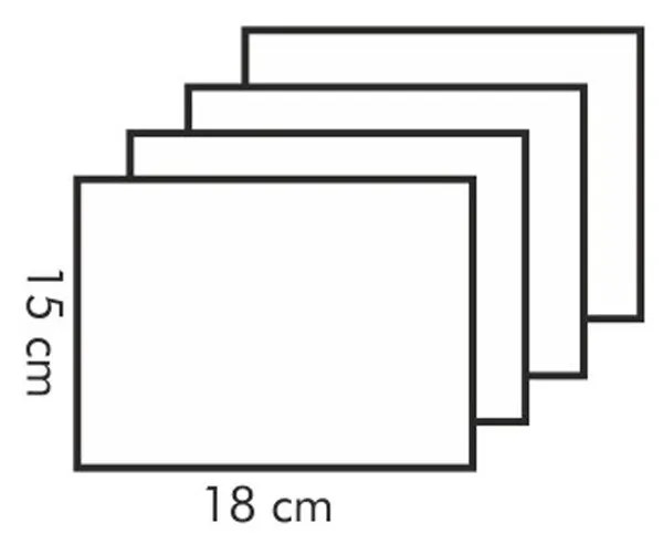 TESCOMA Houbové utěrky CLEAN KIT 18 x 15 cm, 4 ks