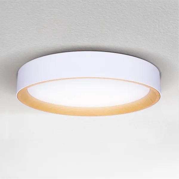 Brilagi -LED Stmívatelné svítidlo LARIOS LED/60W/230V 3000-6500K pr. 49 cm bílá+DO